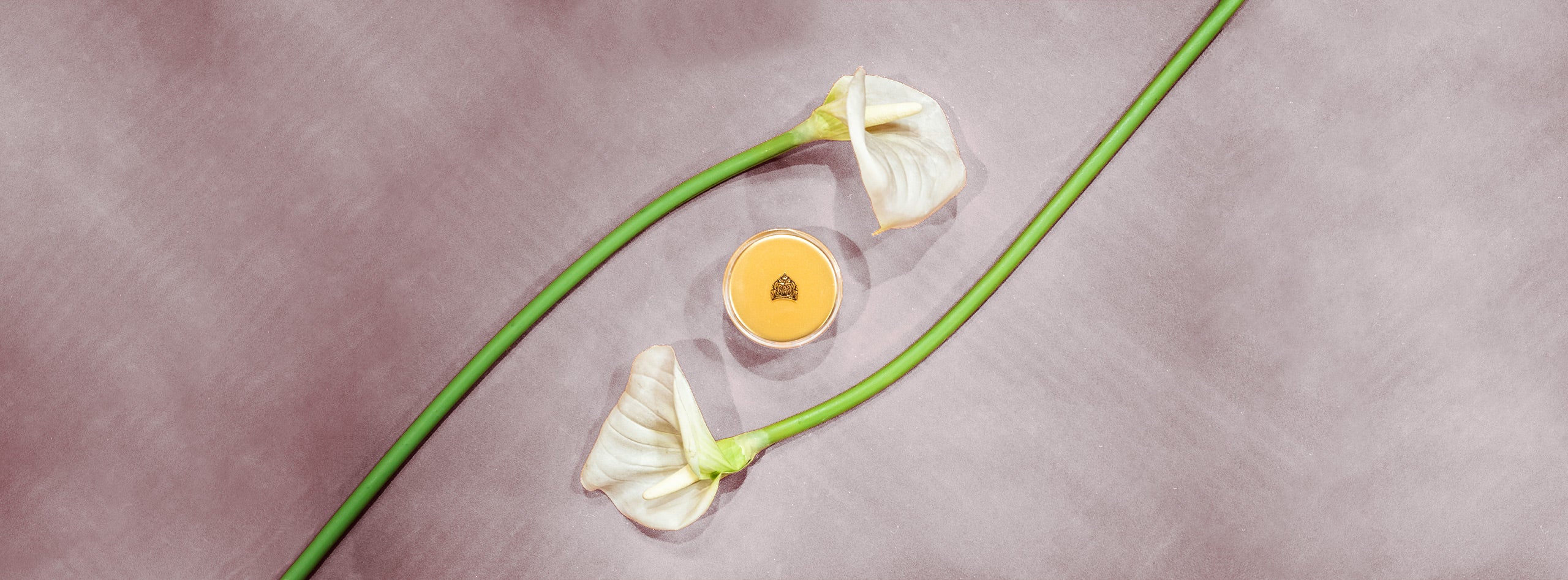 EV Princess Cosmetics - We simply care